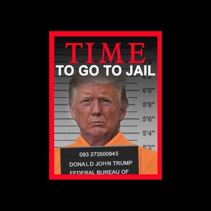 Time to Go to Jail Funny Anti Trump BUMPER STICKER or MAGNET 4.25" X 5. ...