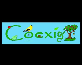Coexist Bumper Sticker - Etsy