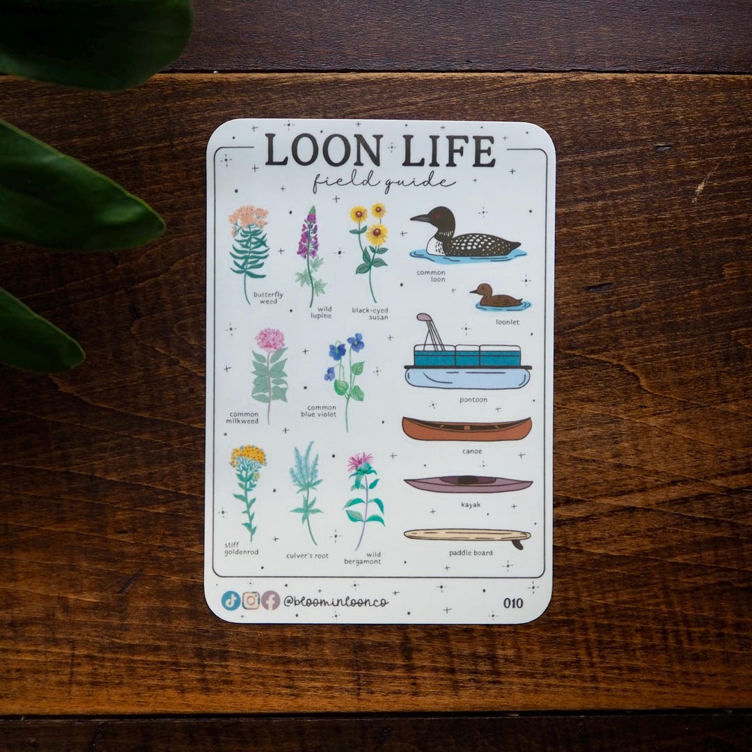 Loon Life Field Guide Sticker Sheet | Lake Life Stickers | Canoe, Loon ...
