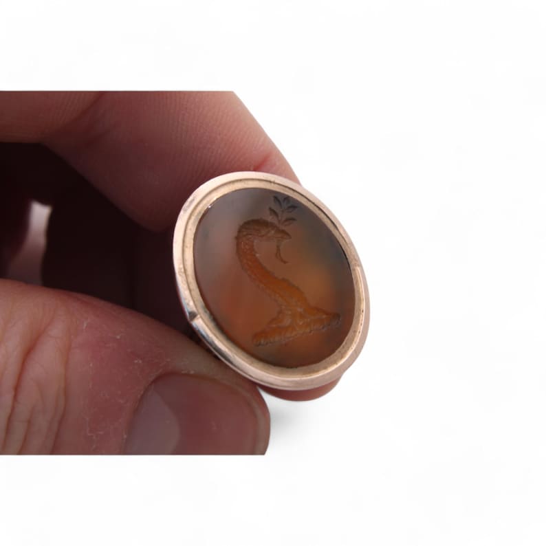 Antique 9ct Gold Intaglio Snake Crest Pendant - Etsy