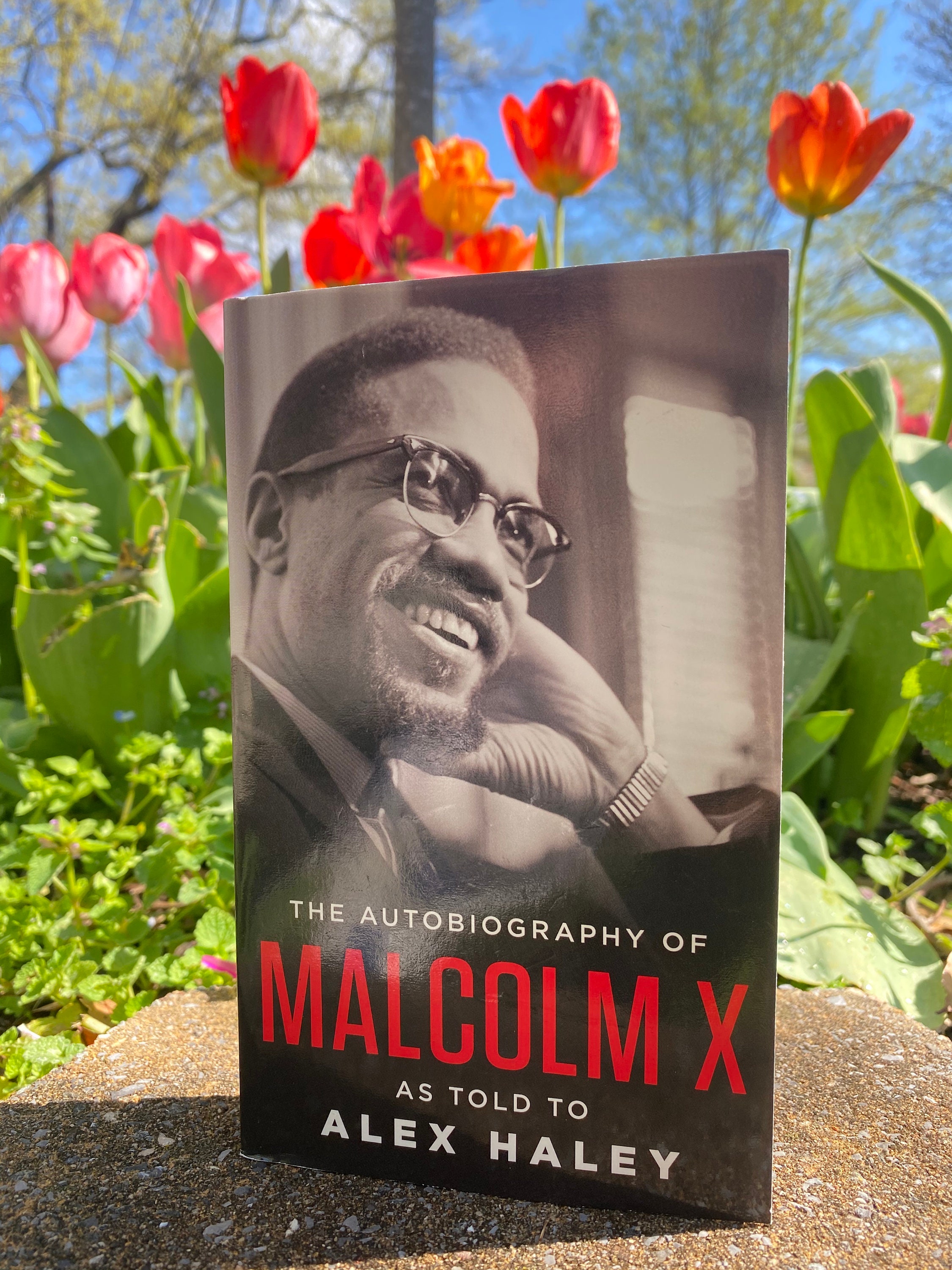 The Autobiography of Malcolm X: A Profound Journey of Self-discovery ...