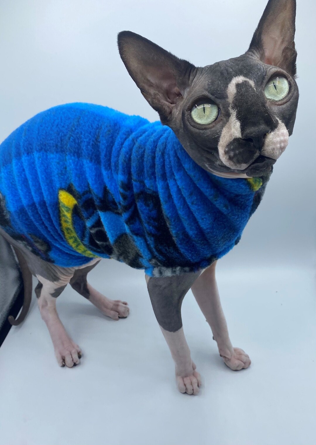 Ravenclaw House - Cat Sweaters Made With Licensed Harry Potter Fabric ...