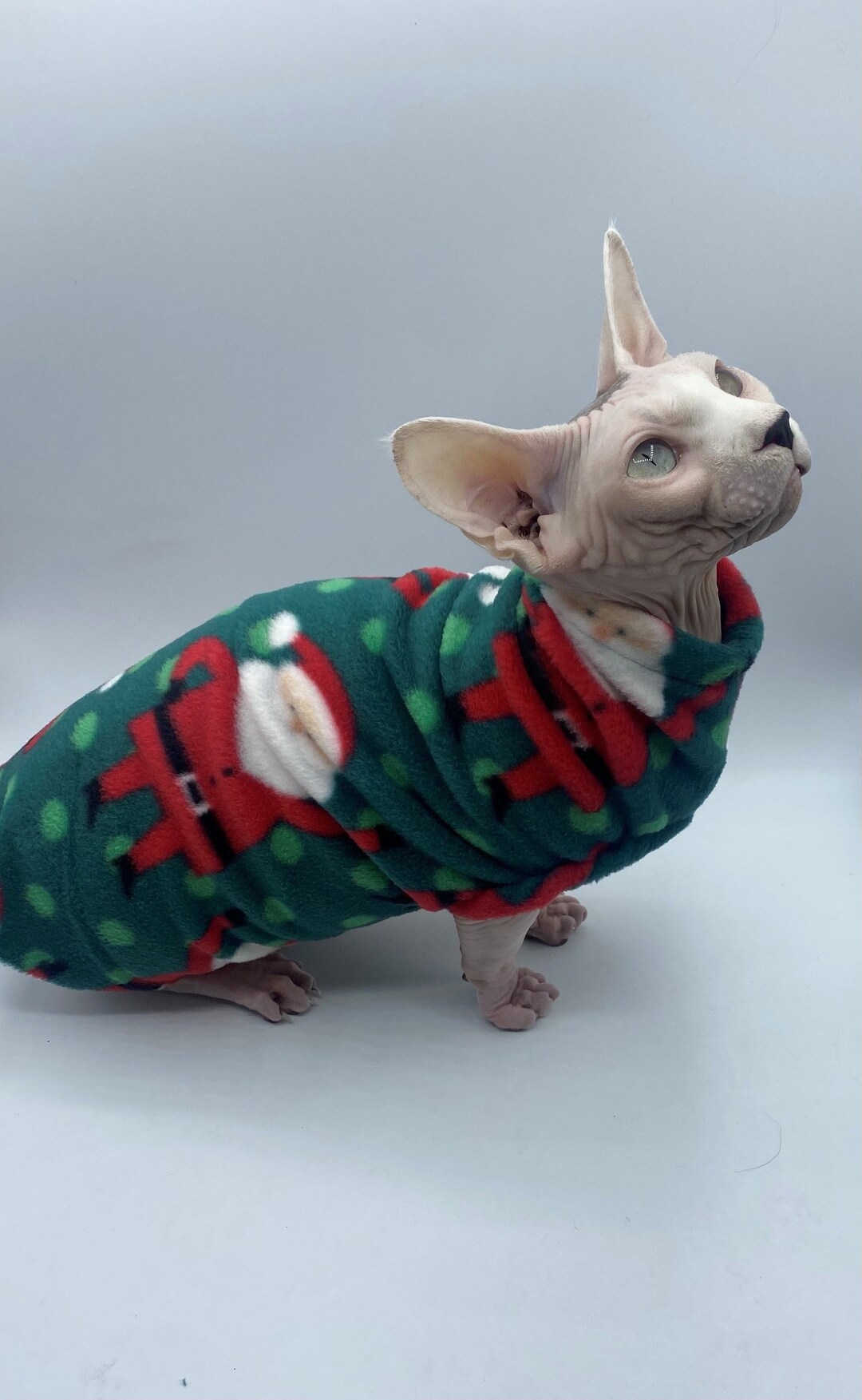 Hello, Santa! - Cat Sweaters - Etsy