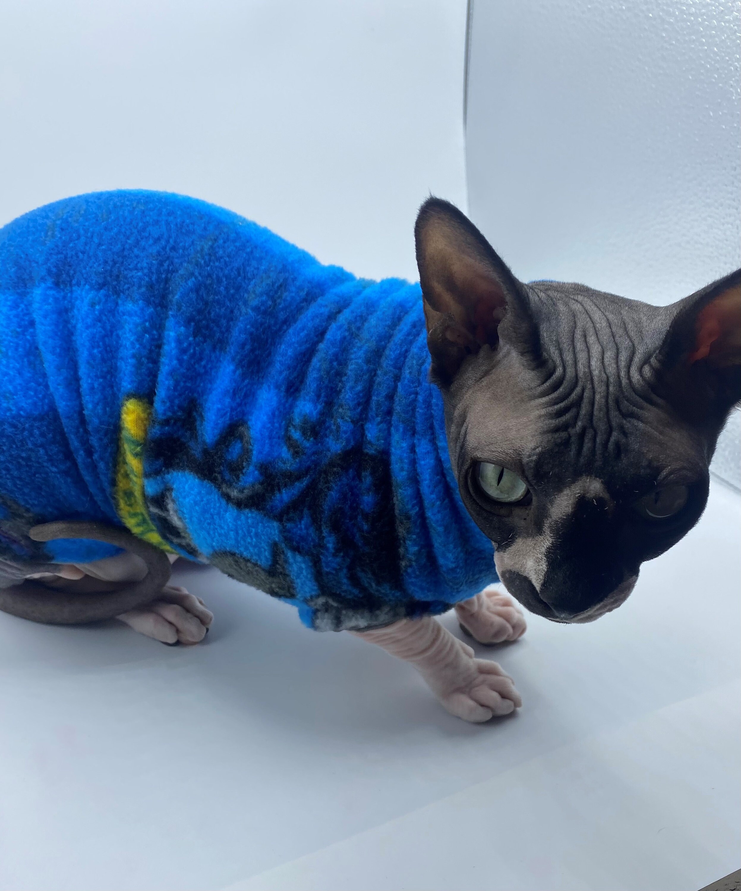 Ravenclaw House - Cat Sweaters Made With Licensed Harry Potter Fabric ...