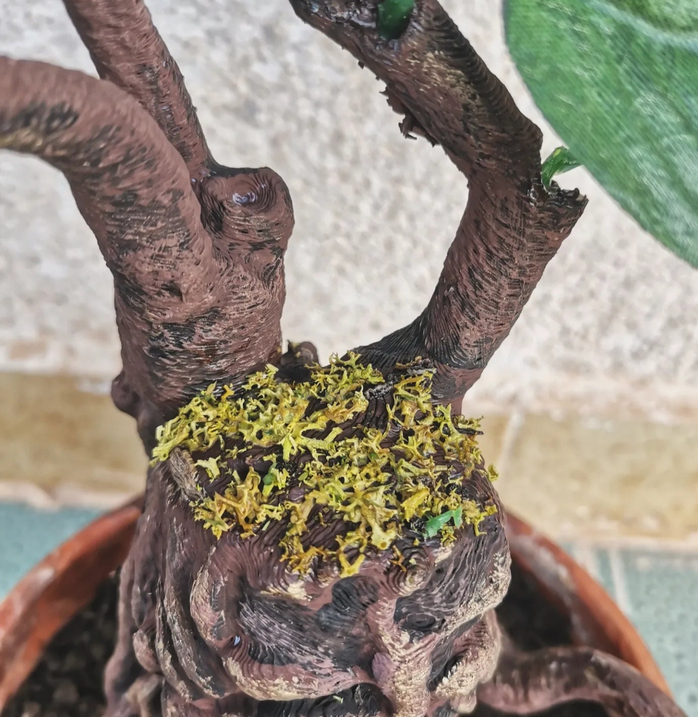 Mandrake Mandragora Wizard - Etsy