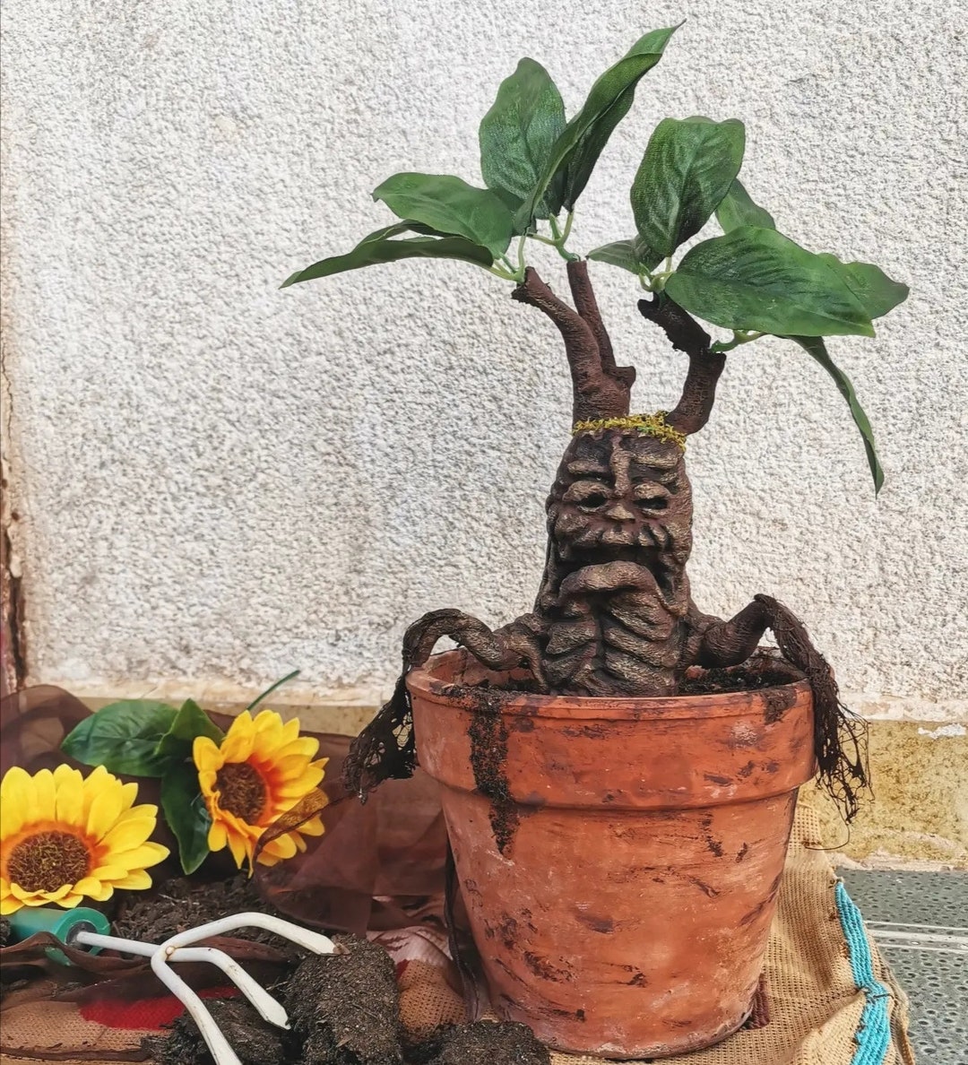 Mandrake Mandragora Wizard - Etsy
