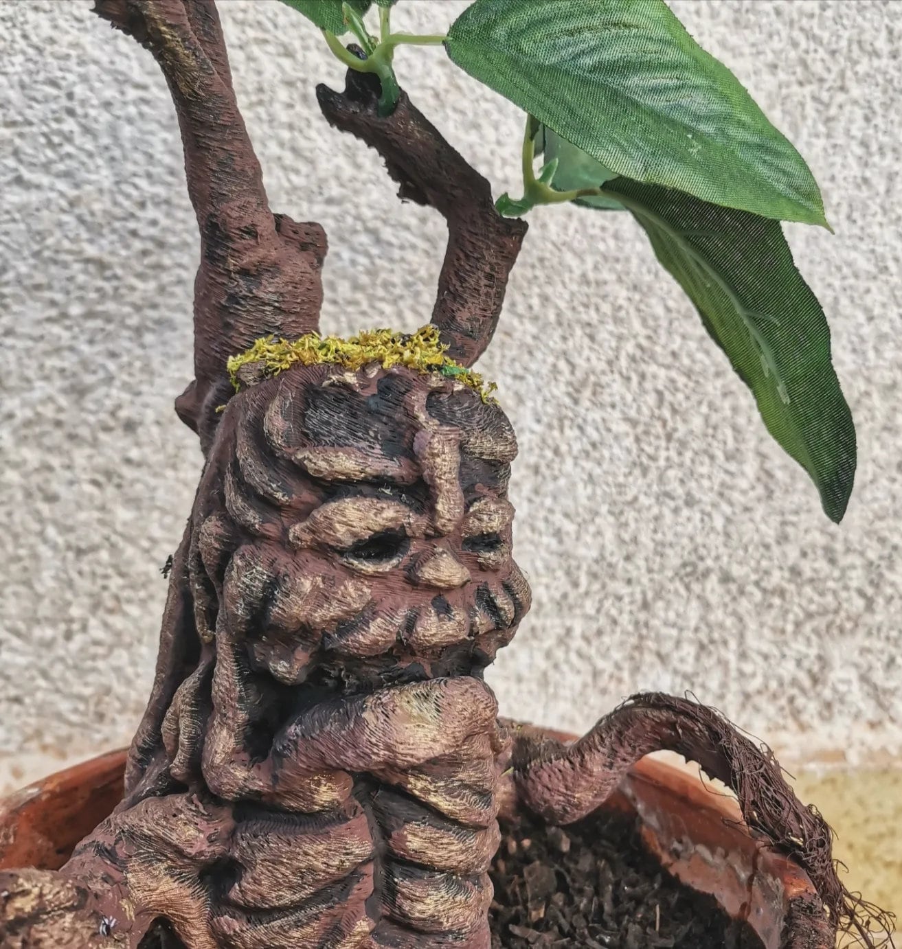 Mandrake Mandragora Wizard - Etsy