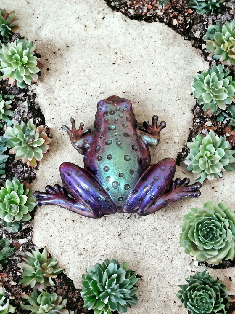 Resin Frog Collectable - Etsy