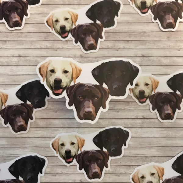 Chocolate Lab Dog - Etsy