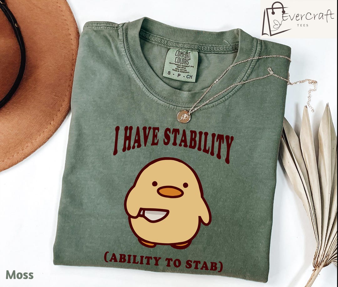 I Have Stability Ability to Stab Shirt, Comfort Colors Unique Shirt ...