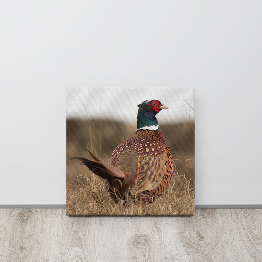 Pheasant Sitting Sportsman Wall Decor - Etsy