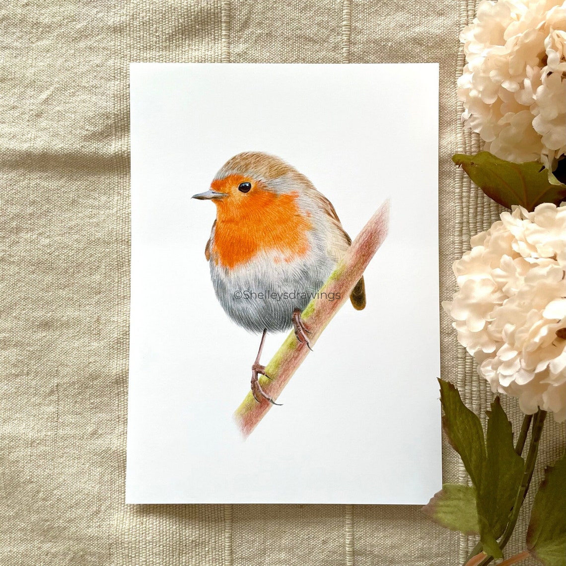 Robin Art Print Pencil Drawing Bird Art Wall Art - Etsy