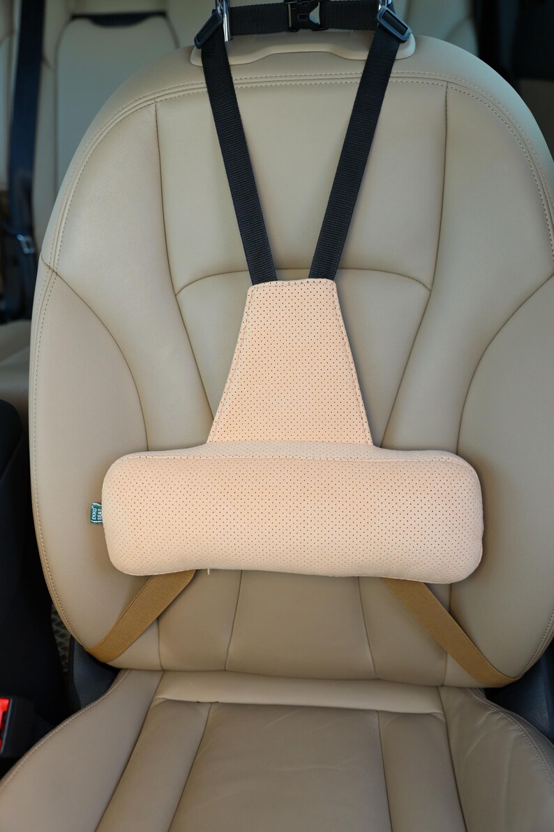 Alcantara Leather Lumbar Pillow: Car Back Support Cushion - Etsy
