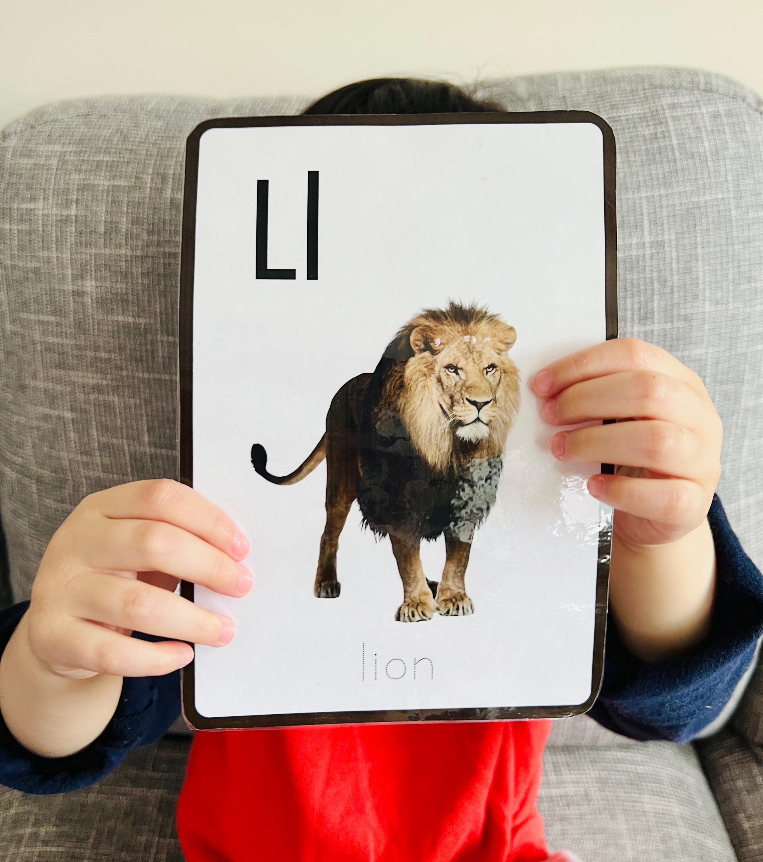 Alphabet Flashcards, ABC Tracing Flashcards, Montessori ABC Cards, ABC ...