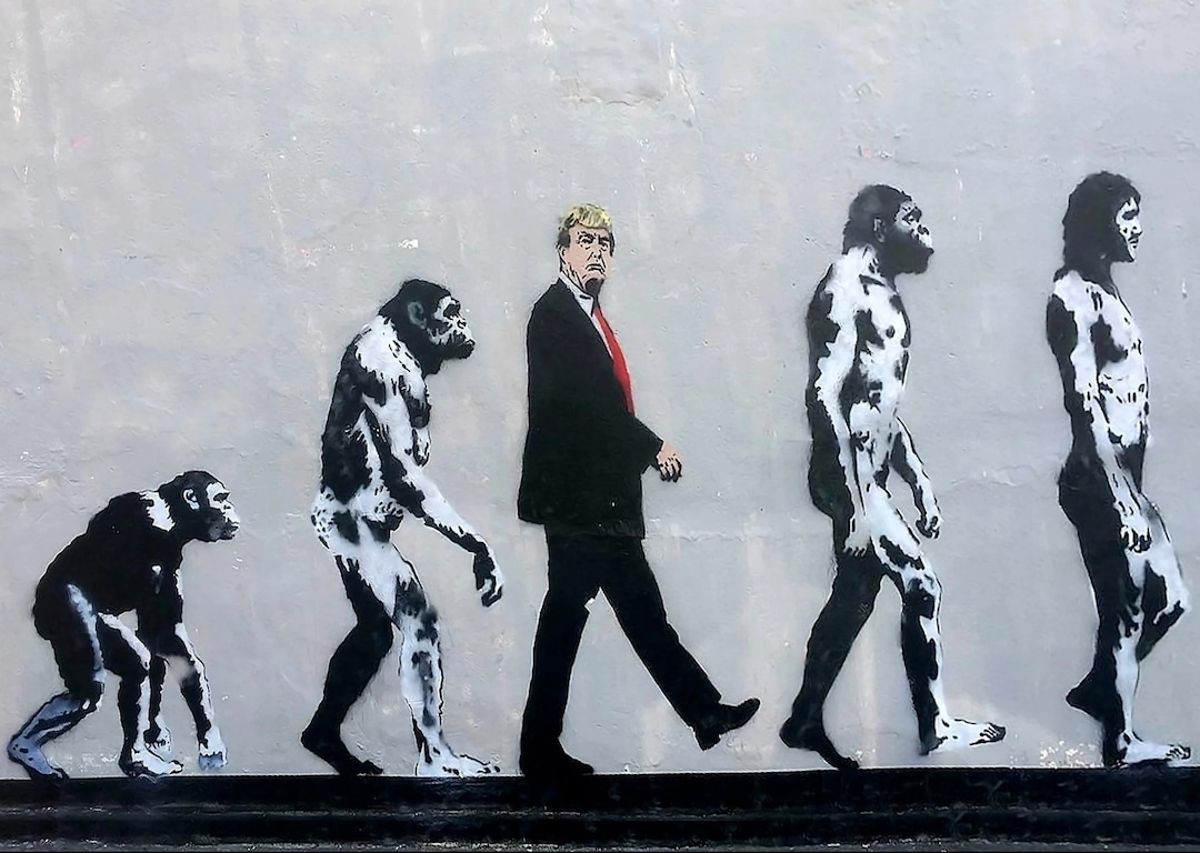 Banksy Donald Trump Evolution Framed Canvas Picture Print Wall Art - Etsy