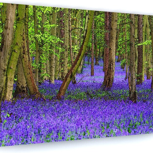 Cute Kittens Framed Canvas Picture Print Wall Art D589 Etsy UK cute-kittens-framed-canvas-picture-print-wall-art-d589-etsy-uk