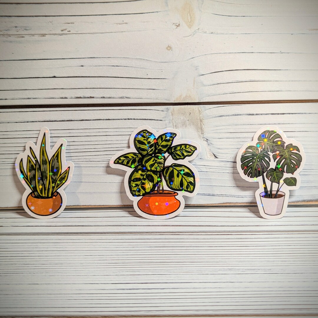 Holographic Potted Plant Stickers Set – Snake Plant, Calathea, Monstera ...
