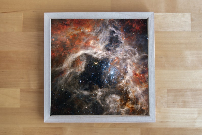 The Tarantula Nebula James Webb Telescope Image Print Premium Lustre ...
