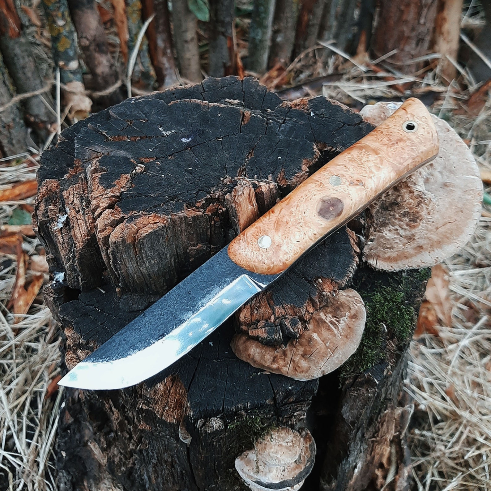 Bushcraft Knife Hand Forged Survival Gear Fixed Blade Knife | Etsy