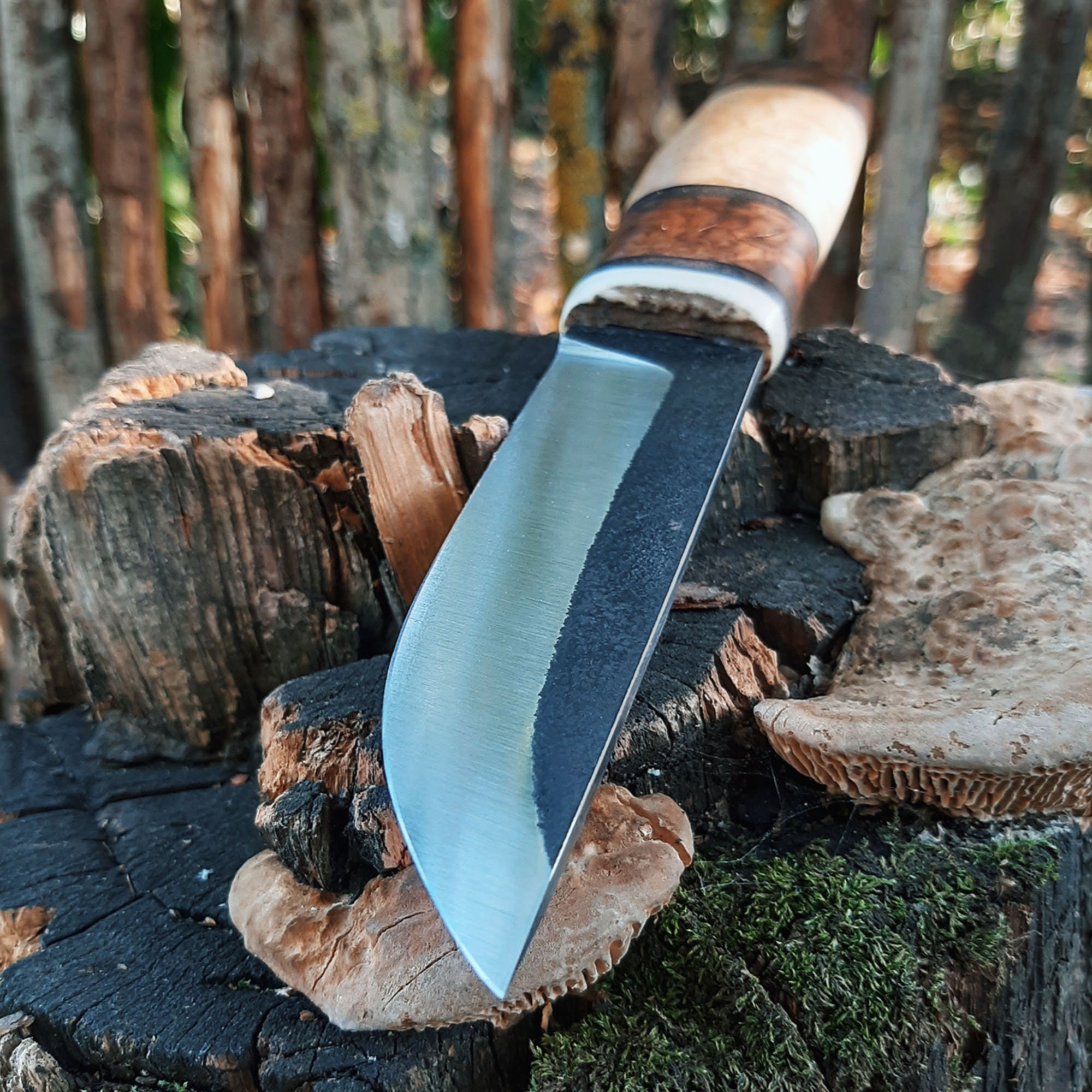 Bushcraft Knife Fixed Blade Survival Gear Gift Hand Forged - Etsy
