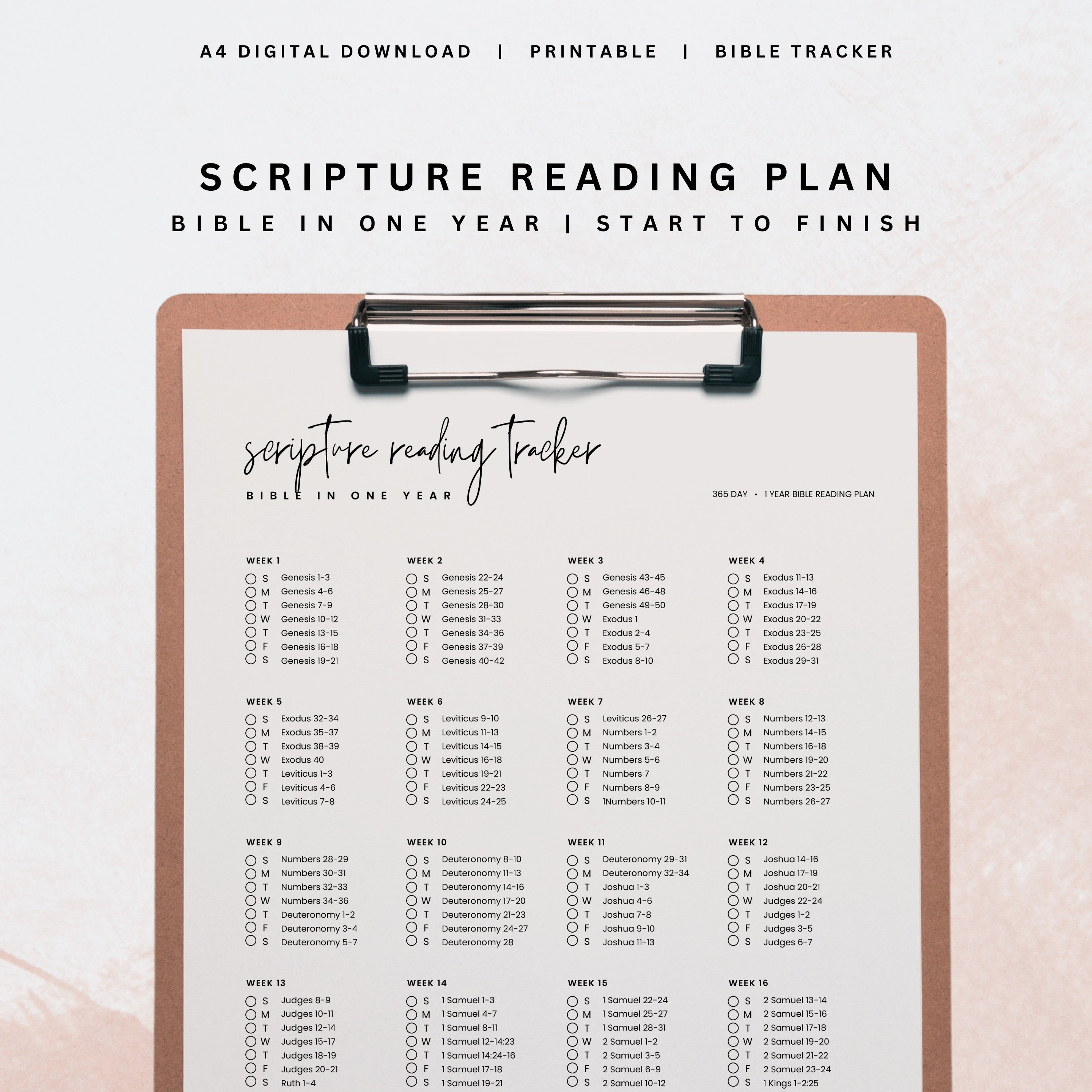 BIBLE in ONE YEAR From Start to Finish | Bible Reading Plan | Scripture ...