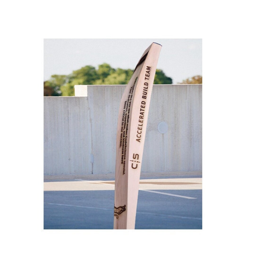 Customized Engraved Cricket Bat, Name and Signature Cricket Bat ...