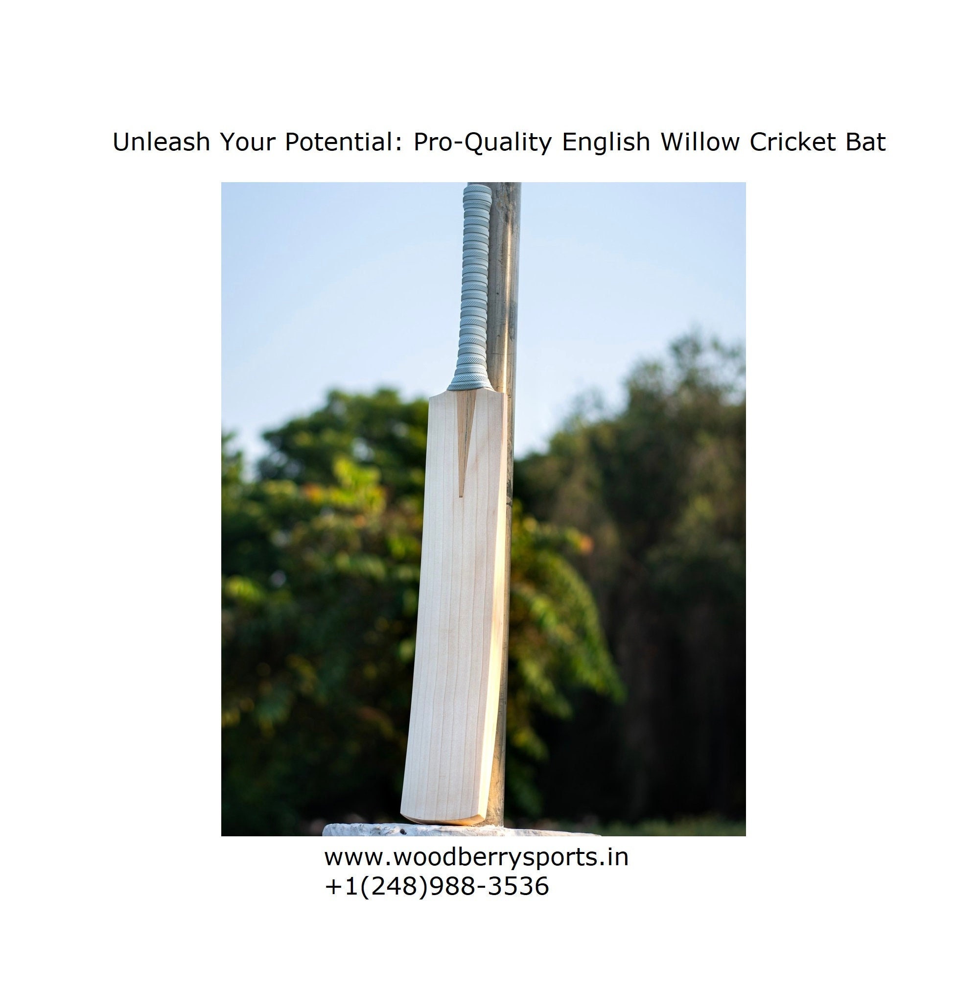 Custom Cricket Bat- Handcrafted for Victory, the Bespoke Cricket Bat ...