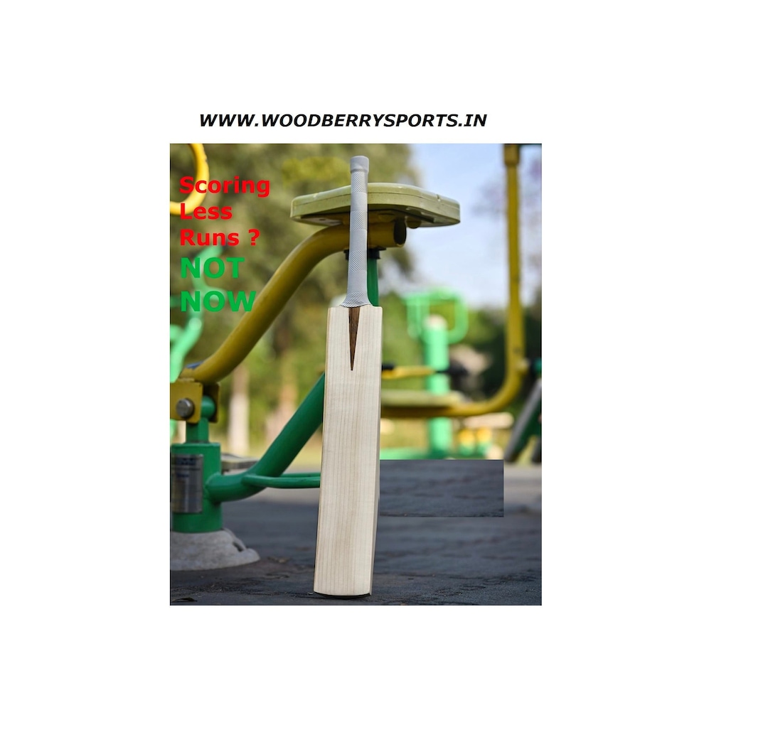 Professional English Willow Cricket Bat, Hard Hitting, Ready to Play ...