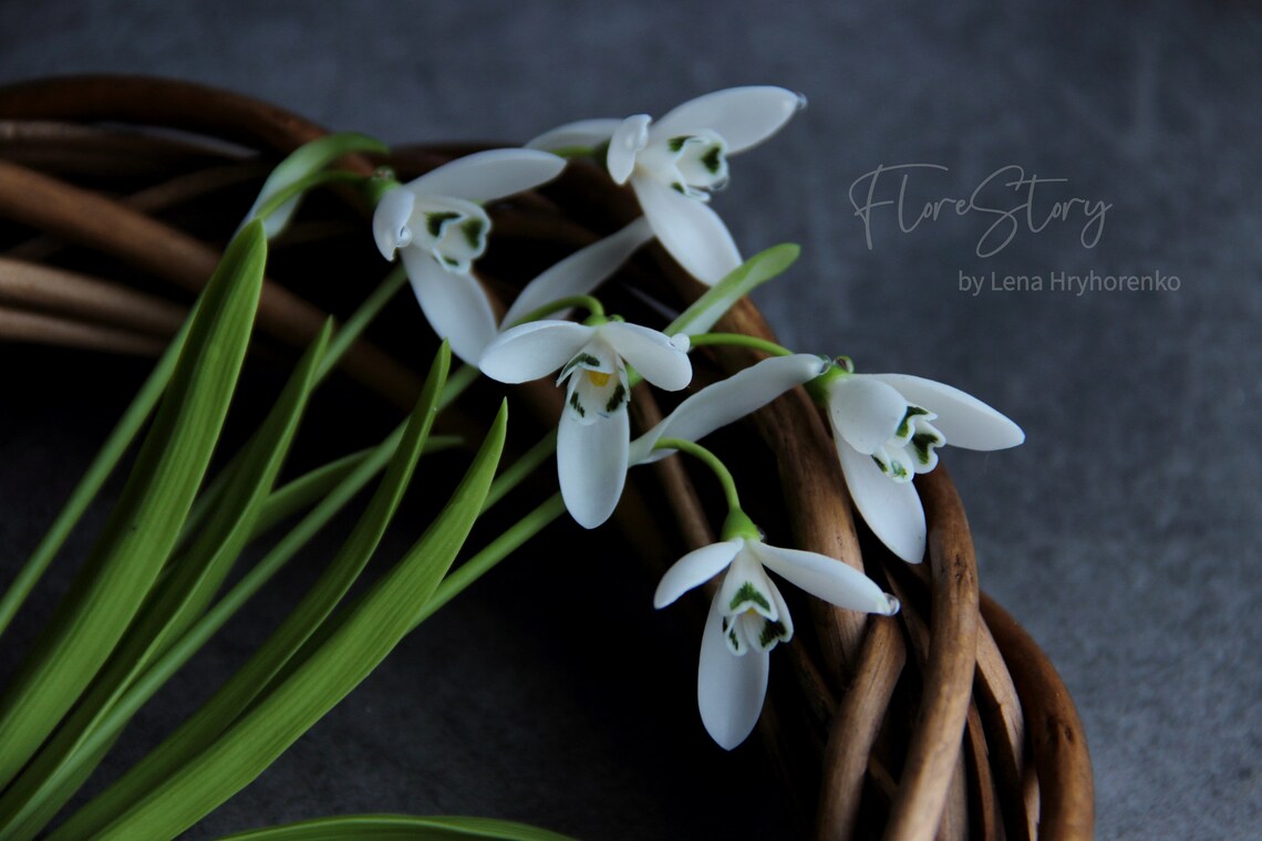 Snowdrop for Gift, Cold Porcelain, Real Touch Flowers, Artificial ...