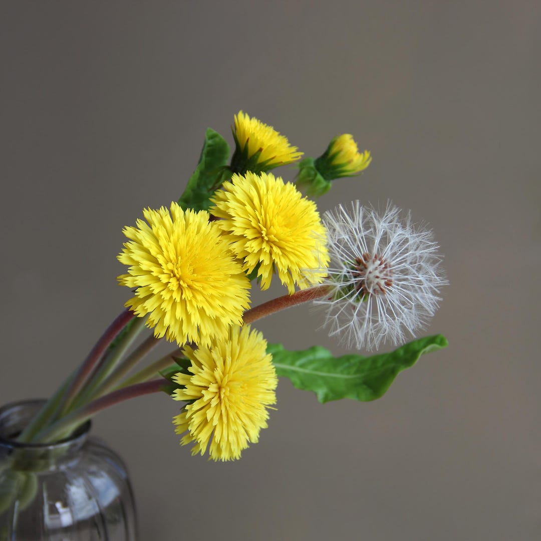 Cold Porcelain Dandelions Bouquet Handmade Flowers Botanical Sculpture ...