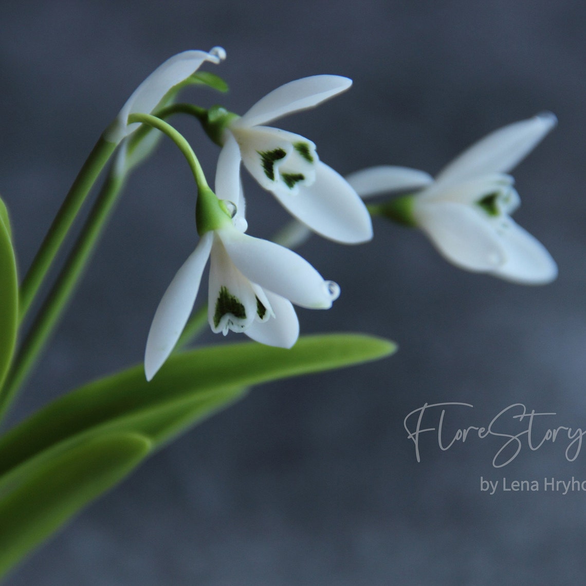 Snowdrop for Gift, Cold Porcelain, Real Touch Flowers, Artificial ...