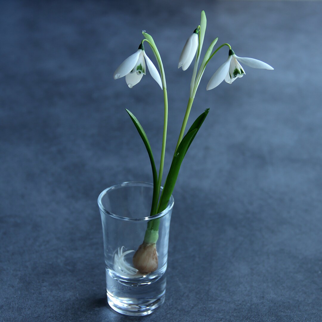 Snowdrop for Gift, Cold Porcelain, Real Touch Flowers, Artificial ...