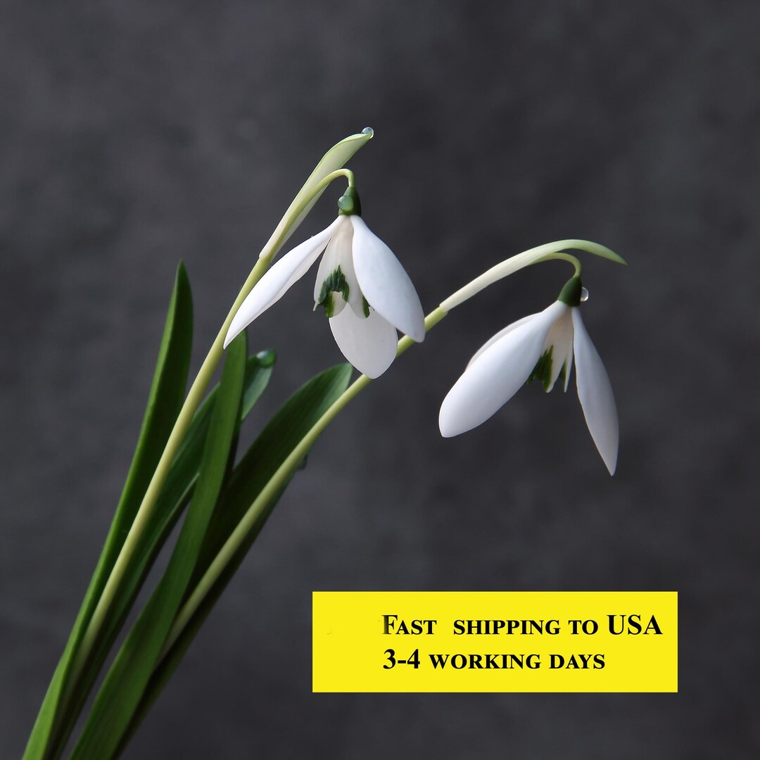 Snowdrops for Christmas Gift, Cold Porcelain Flowers, Real Touch ...