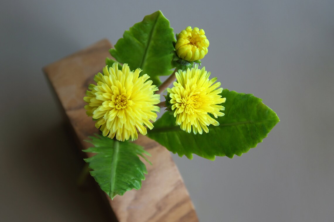Handmade Dandelions Bouquet Cold Porcelain Flowers Botanical Sculpture ...