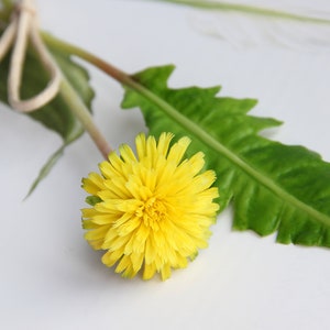 Cold Porcelain Dandelions Bouquet Handmade Flowers Botanical Sculpture ...