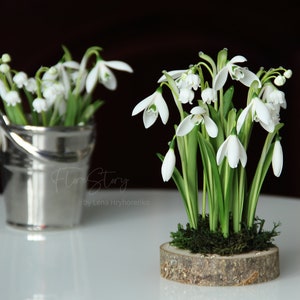 Snowdrop, Cold Porcelain Flowers, Real Touch Flowers, Artificial ...