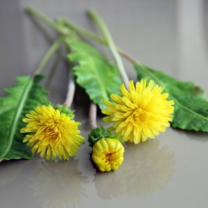 Handmade Dandelions Bouquet Cold Porcelain Flowers Botanical Sculpture ...