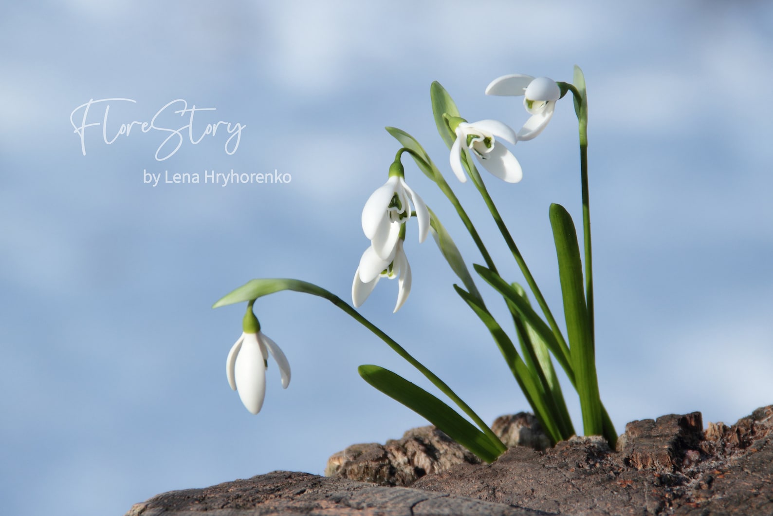Snowdrops From сold Porcelain Real Touch Spring Flowers for - Etsy