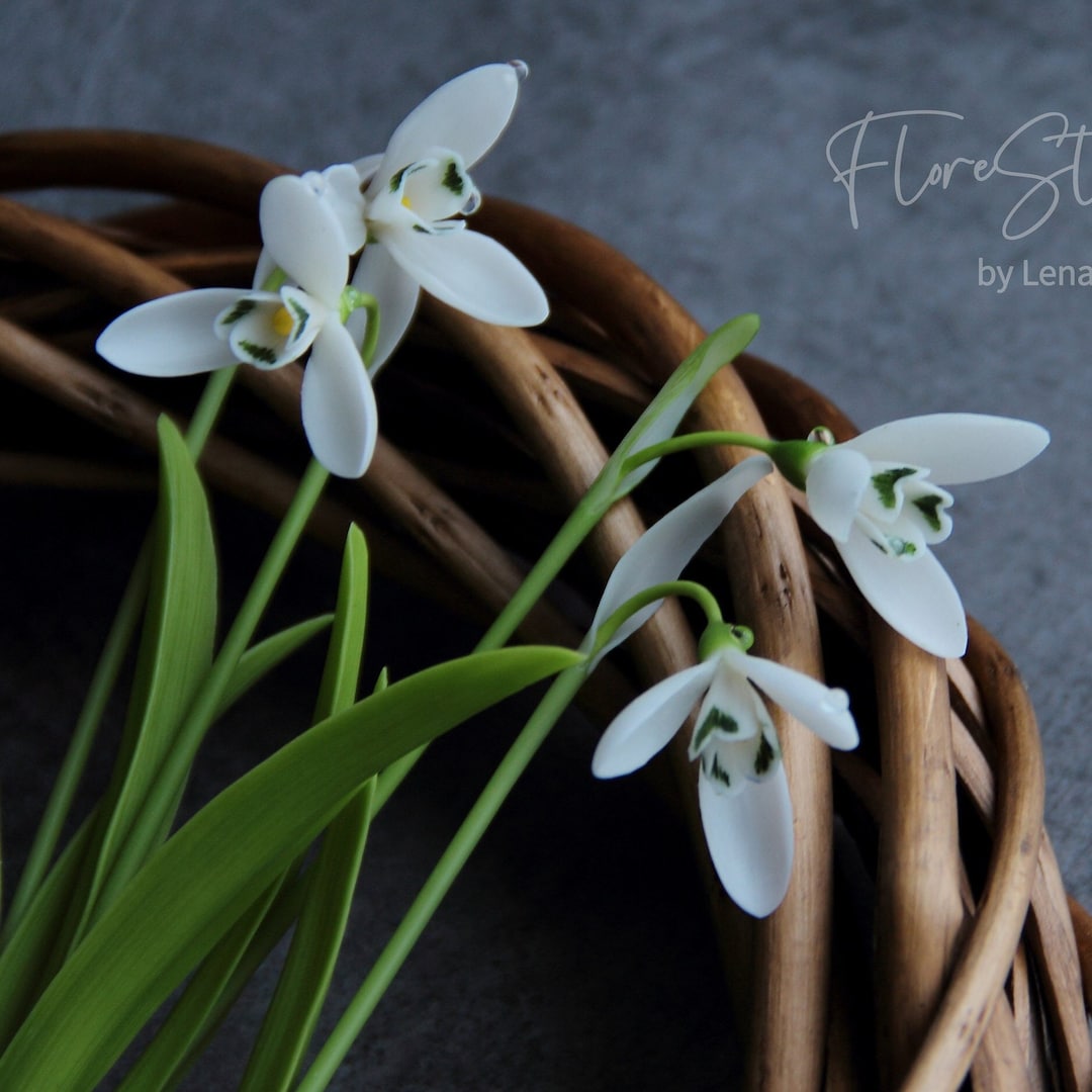 Snowdrop Cold Porcelain Flowers, Real Touch Snowdrop, Botanical ...