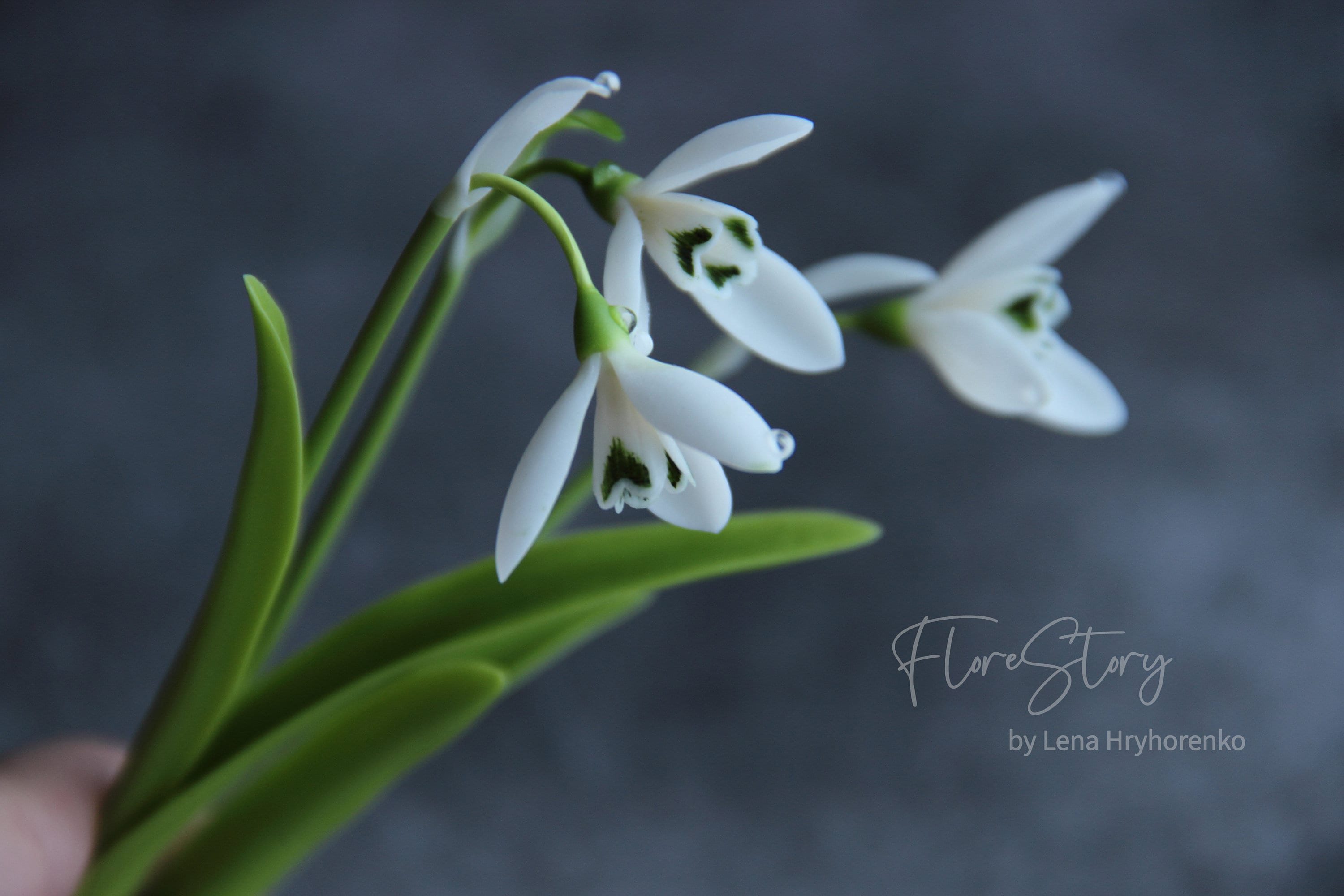 Snowdrop for Gift Cold Porcelain Real Touch Flowers - Etsy
