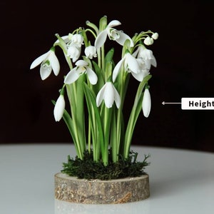 Snowdrop, Cold Porcelain Flowers, Real Touch Flowers, Artificial ...
