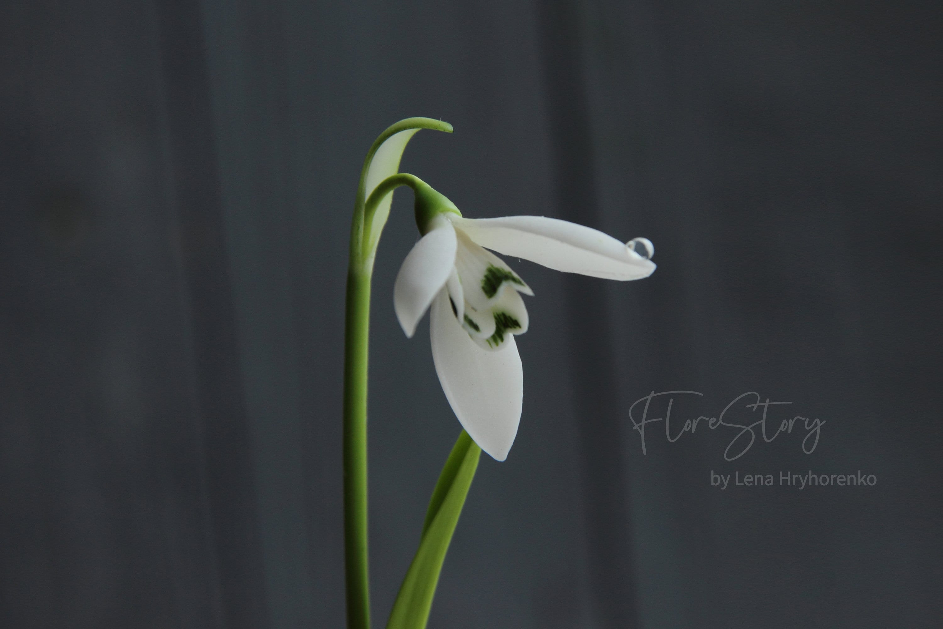 Snowdrop Cold Porcelain Flowers Real Touch Snowdrop - Etsy