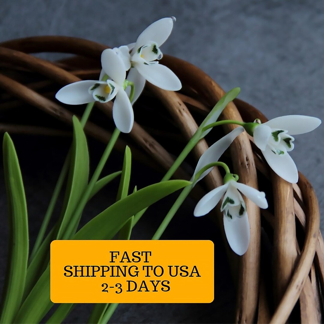 Snowdrops for Gift, Cold Porcelain, Real Touch Flowers, Artificial ...