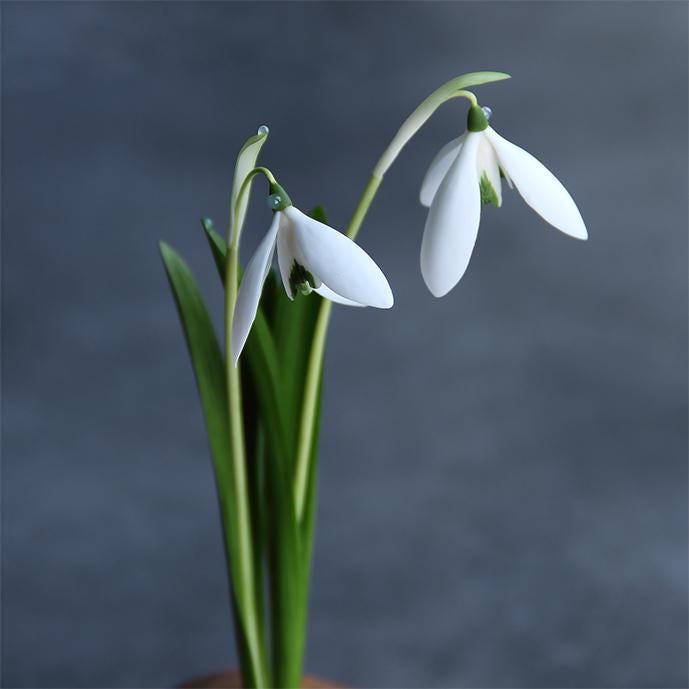 Snowdrops for Gift, Cold Porcelain, Real Touch Flowers, Artificial ...