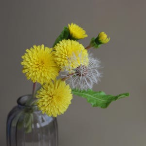 Cold Porcelain Dandelions Bouquet Handmade Flowers Botanical Sculpture ...
