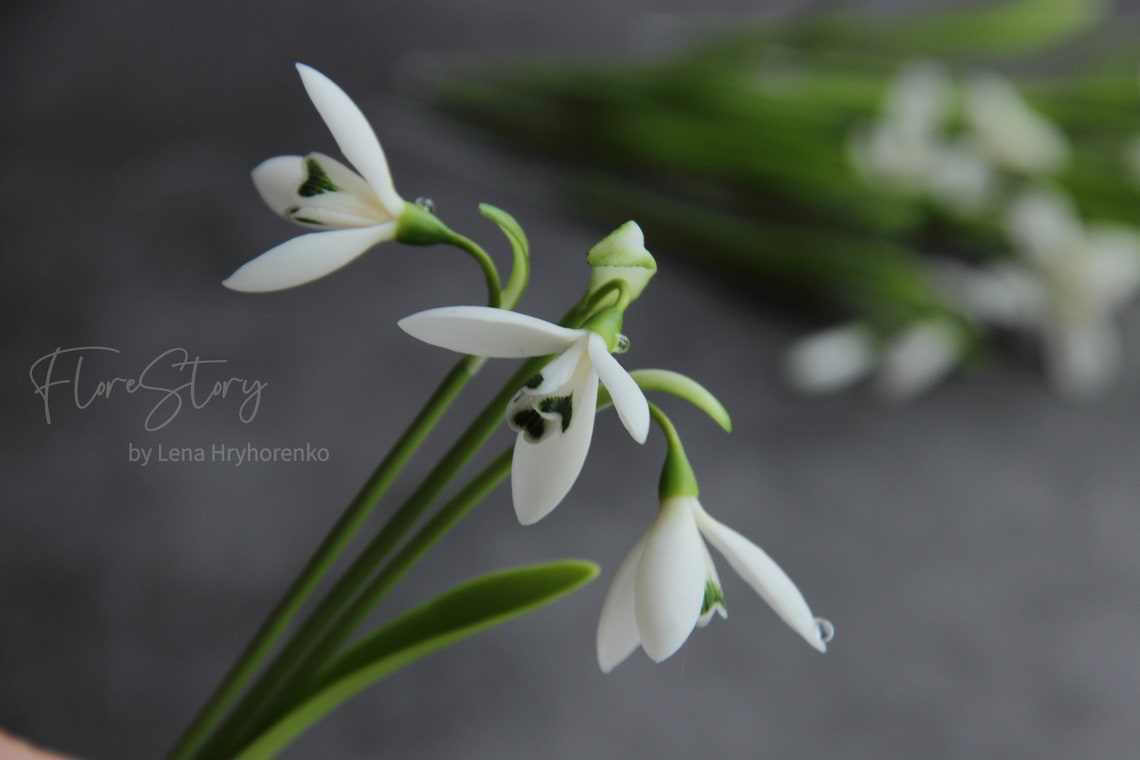 Snowdrop for Gift, Cold Porcelain, Real Touch Flowers, Artificial ...