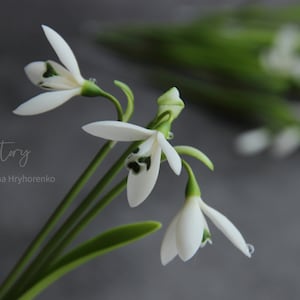 Snowdrop for Gift, Cold Porcelain, Real Touch Flowers, Artificial ...