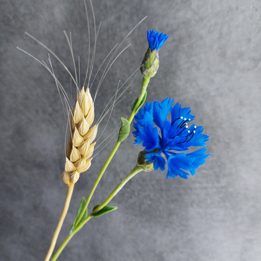 Cornflower, Spikelet of Wheat, Cold Porcelain Flower, Wild Flower ...