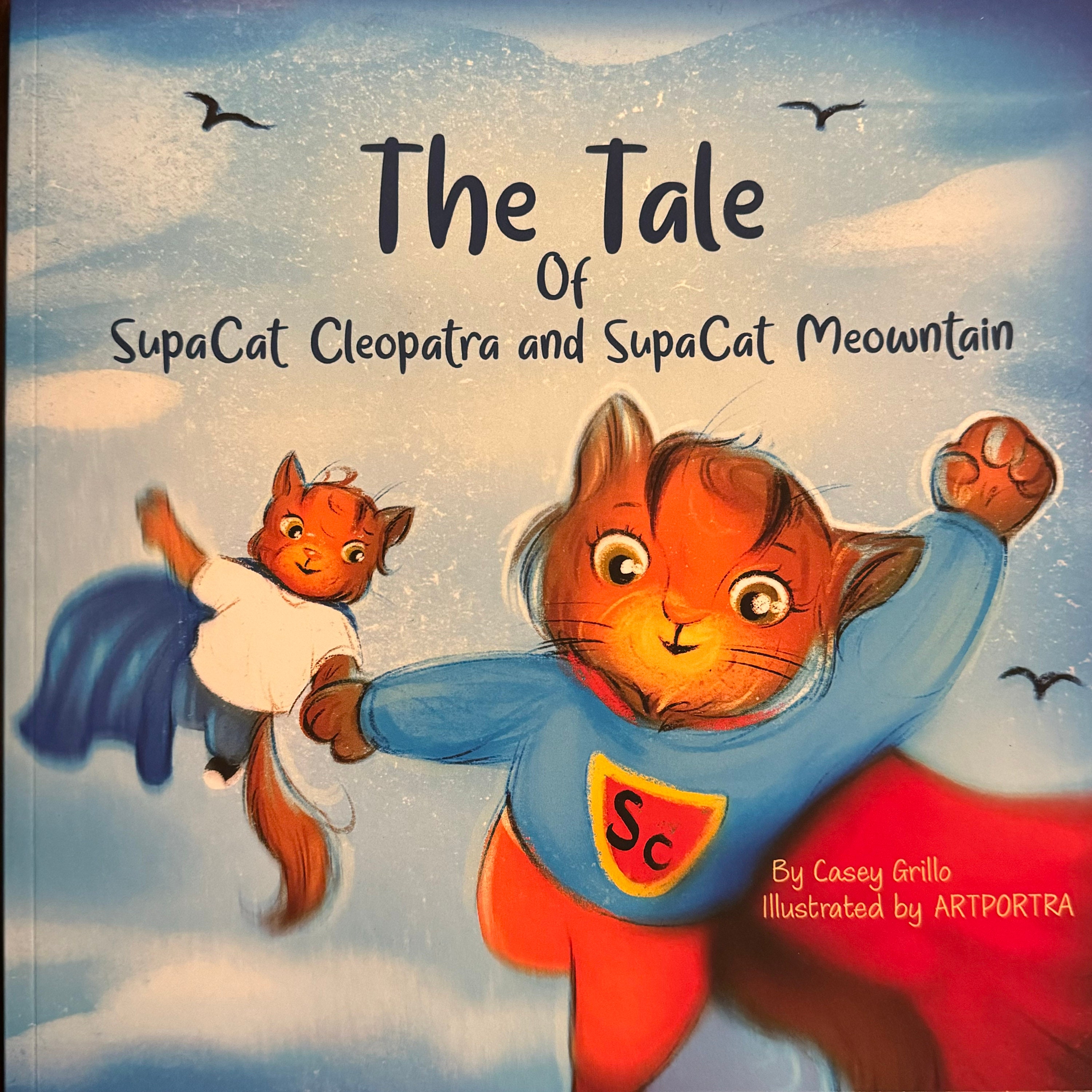 The Tale of Supacat and the Supacat Meowntain - Etsy