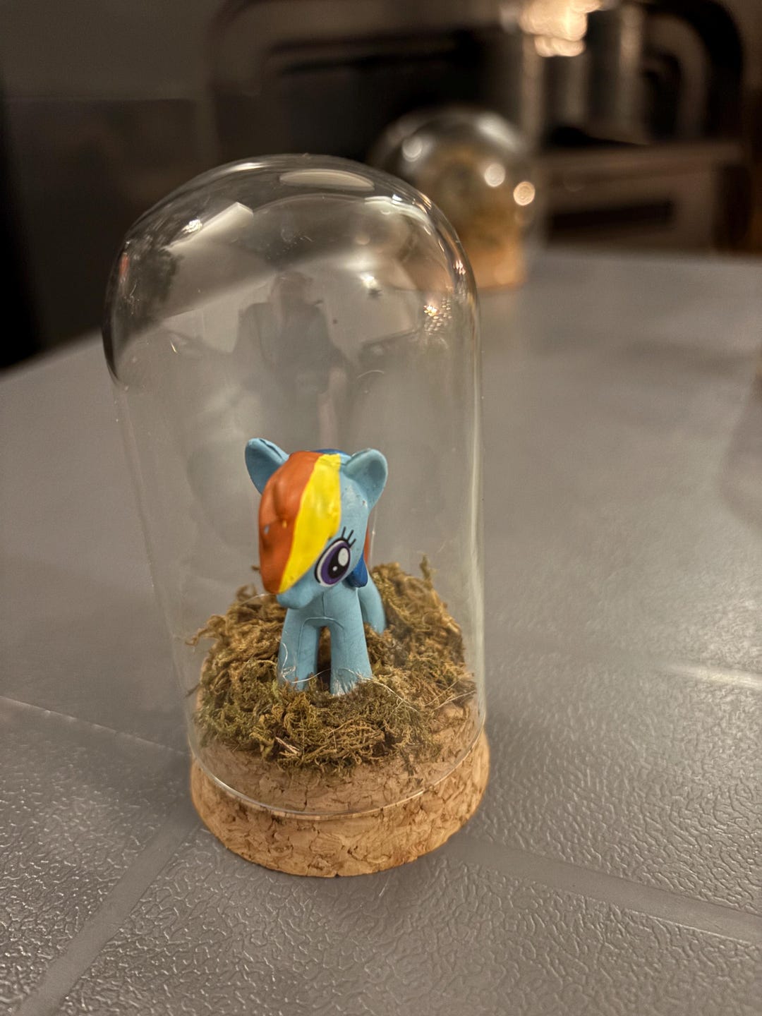 My Little Pony Rainbow Dash Themed Jar Terrarium - Etsy